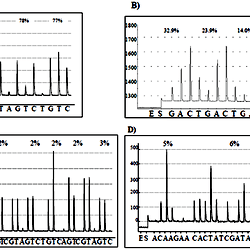 Examples of pyrograms.