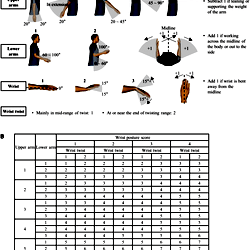 The RULA scoring system for Group A (the upper arm, lower arm and wrist).