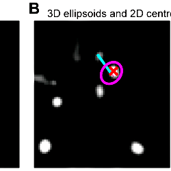 Point-extraction algorithm.