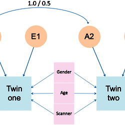 Path diagram representing the structural equation model used to ...