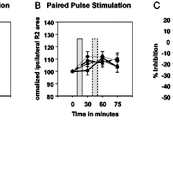 HFSLTP-LTD before and after Botulinum Toxin Treatment.