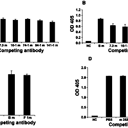 Epitope binding analysis of human Fab by competition-ELISA.