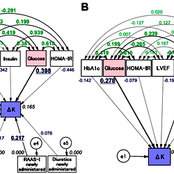 Path models.