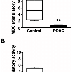 MDC and PDC in PDAC patients have impaired immunostimulatory function.