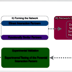 Conceptual design of our prediction framework.
