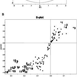 Hepatic lipidomics reveals differences between recovering mice and ...