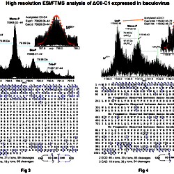 Two complimentary experiments in separate figures.