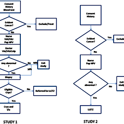 Flow charts for subject recruitment and investigation.