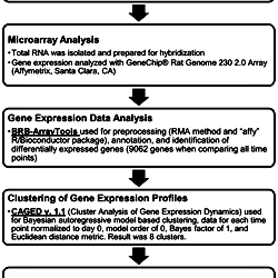 Flow chart of the chronological steps involved in the microarray analysis.