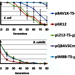 Plasmid stability assays.
