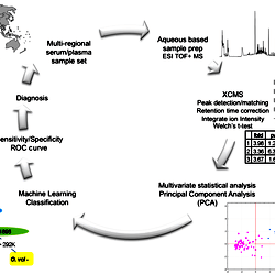 Schematic diagram of the LC-MS based metabolomic workflow.