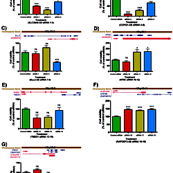 Validation of cell viability screen.