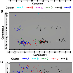 Cluster plots.