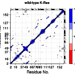 Dynamic cross-correlation maps (DCCMs) reveal the extent of correlation ...
