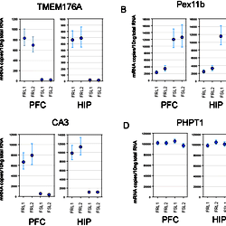 Examples of real-time PCR data.