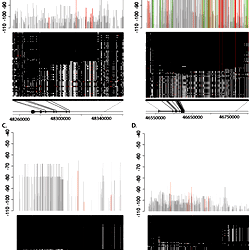 Haplotype map and CMS score in four genomic regions.