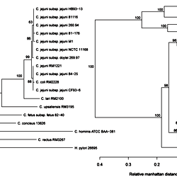 16S rRNA and Pan-genomic tree of the Campylobacter genus.