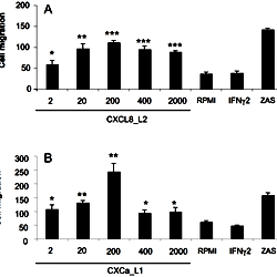 Migration of phagocytes towards recombinant carp CXCa_L1 and CXCL8_L2 ...