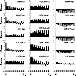 Histone modification patterns track exons and introns across gene ...