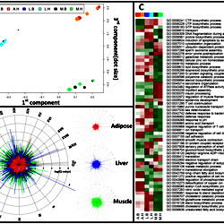 Analysis of transcriptome data.