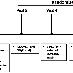 Schematic of study protocol.