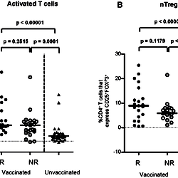 Relationship between TST and T cell phenotype in response to PPD.