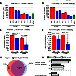 Genes and isoforms comparisons.