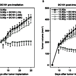 Impact of timing of DC101 addition on the radiation response of MCA/129 ...