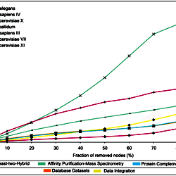 The effect of random sub-sampling on the network topology.