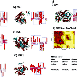 Structural details of target enzymes.