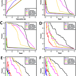 Performance of the KEGG pathway prediction model.