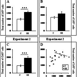 Data from cell counts corresponding to CldU/IdU labeling.