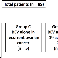 Patient classification.