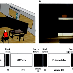 Stimulus presentation.