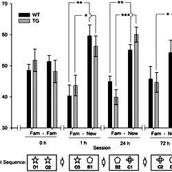 Object recognition task.