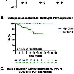 CD10 expression and clinical outcome.
