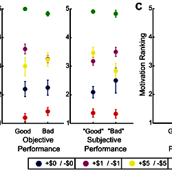 Subjects' performance and preferences.