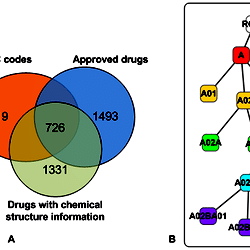 Data sources and the ATC classification system.