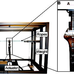 (A) High-resolution measuring device: entire setup used and (B) details ...