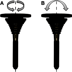 (A) Schematic of the applied axial torque around the longitudinal stem ...