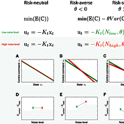 Predictions of optimal feedback control models.