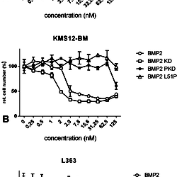 Biological activities of the different BMP2 variants.
