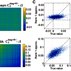 Low-rank structure in correlation matrices.