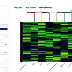 shinyheatmap interactive heatmap.