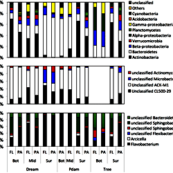 Microbial community composition in Grand Lake in March (pre ...