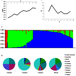 Population structure analysis.