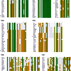 Alignment of the variable blocks.