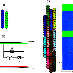 Representation of cells and tissue using DEM particles.