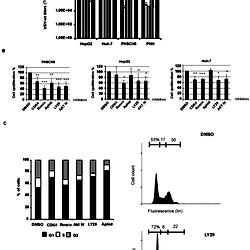 VSV replication and cell-cycle progression.