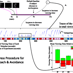 Experimental Design of Keypress Procedure.